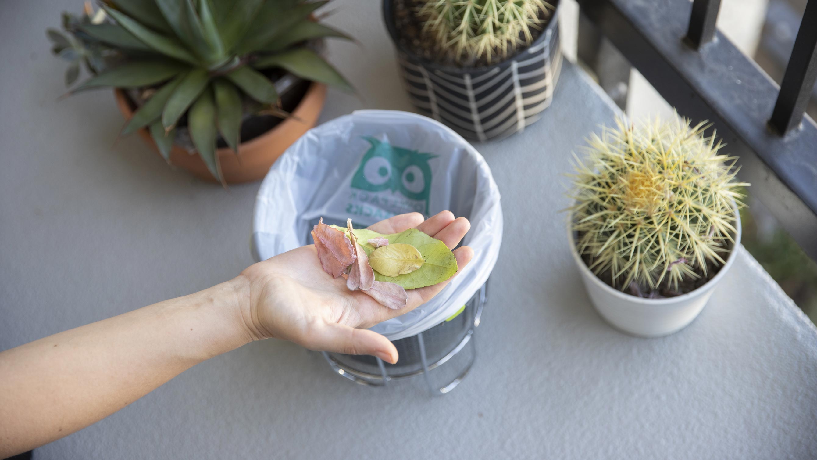 Think Globally, Start Small – owlpack